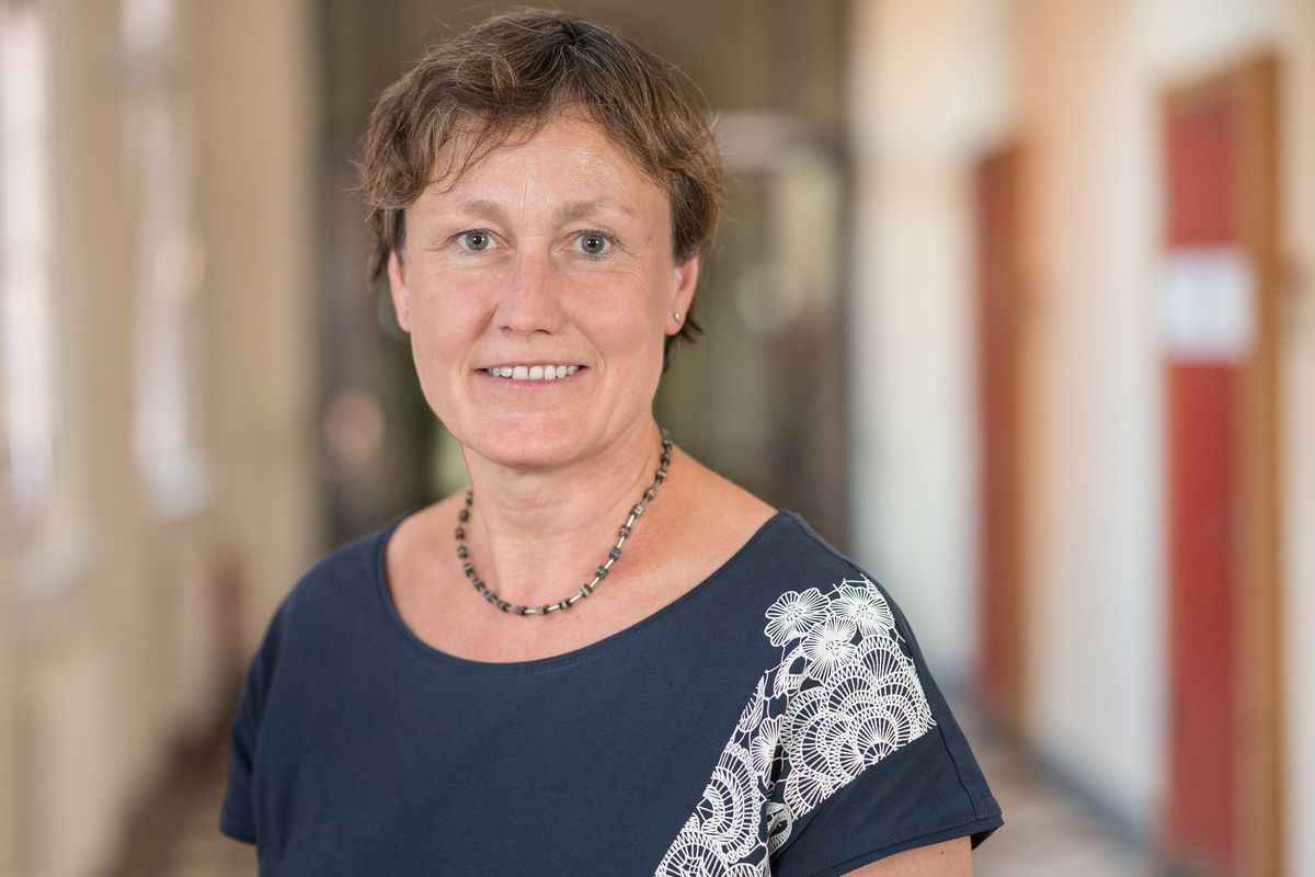 Alexianer - Alexianer GmbH